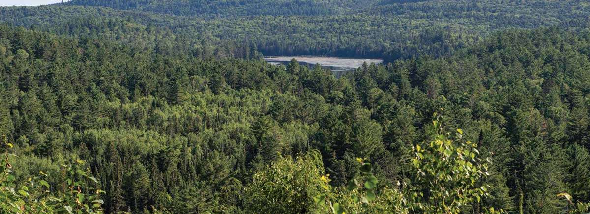 Bat Lake - Trails In Algonquin Park » Algonquin Park