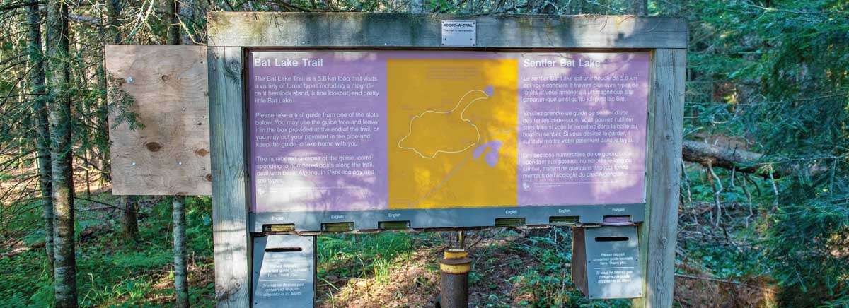 Bat Lake - Trails In Algonquin Park » Algonquin Park