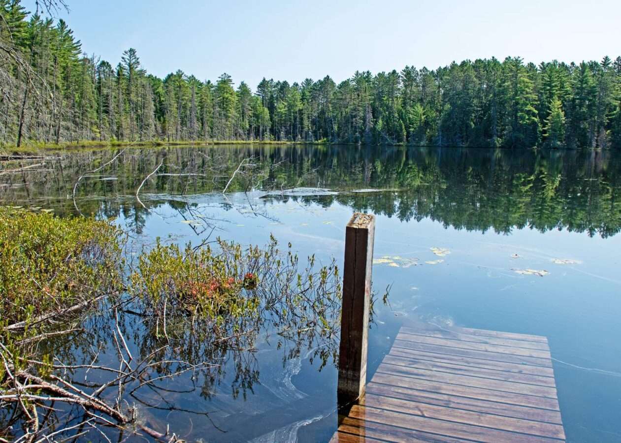 Bat Lake - Trails In Algonquin Park » Algonquin Park