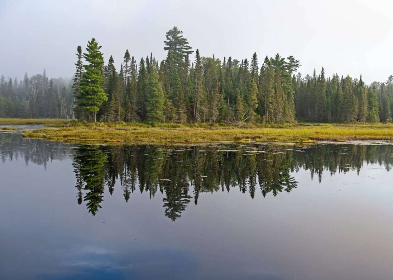 Mizzy Lake - Algonquin Park Walking Trails » Algonquin Park