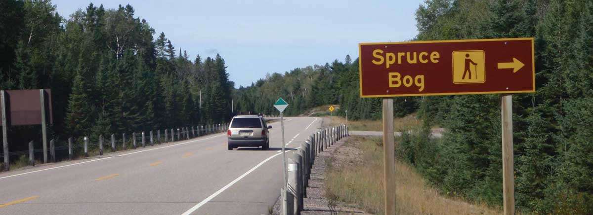 Spruce Bog Boardwalk - Best Hiking Trails In Algonquin Park » Algonquin ...