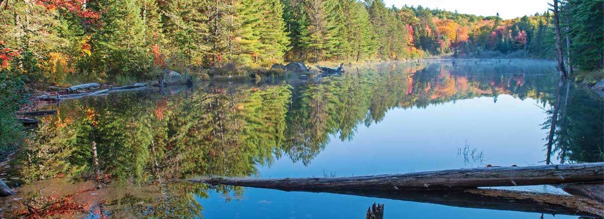 Centennial Ridges - Best Trails In Algonquin Park For Fall Colors ...
