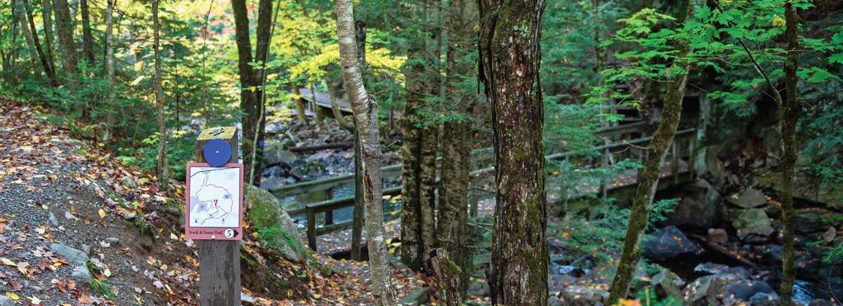 Track And Tower - Hiking Trails In Algonquin Park » Algonquin Park