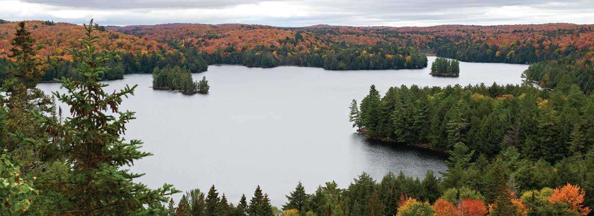 Track And Tower - Hiking Trails In Algonquin Park » Algonquin Park