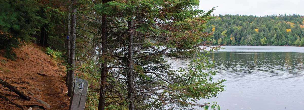 Track And Tower - Hiking Trails In Algonquin Park » Algonquin Park